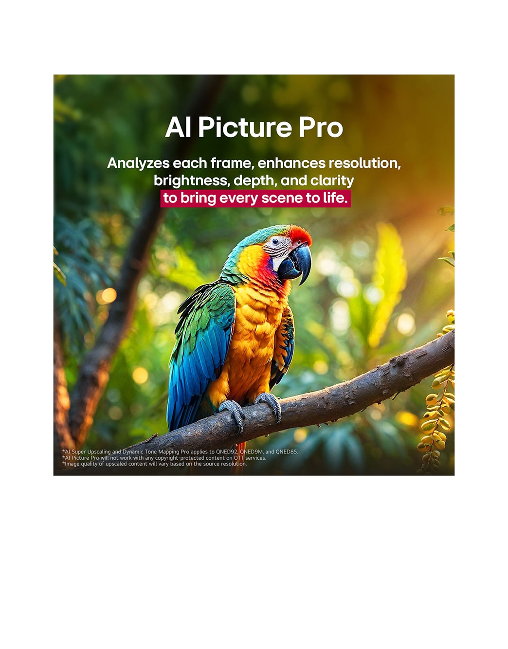 Pantalla 100 pulgadas LG QNED evo AI QNED85 MiniLED 4K Smart TV 2025 ...