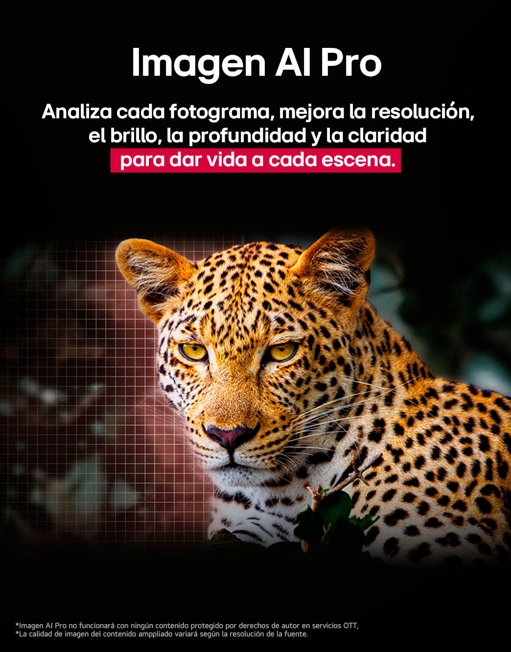 Pantalla 55 pulgadas LG AI OLED C5E 4K Smart TV 2025 - OLED55C5ESA | LG ...