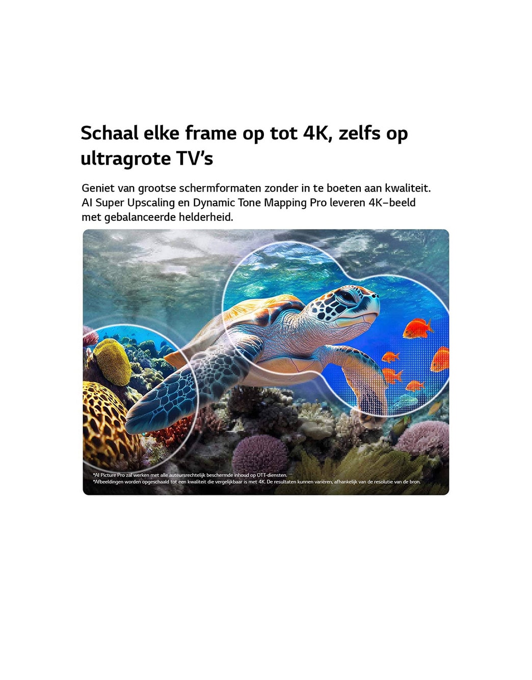 85 inch LG QNED evo AI QNED93 Mini LED 4K Smart TV - 85QNED93B6A.AEUQ ...