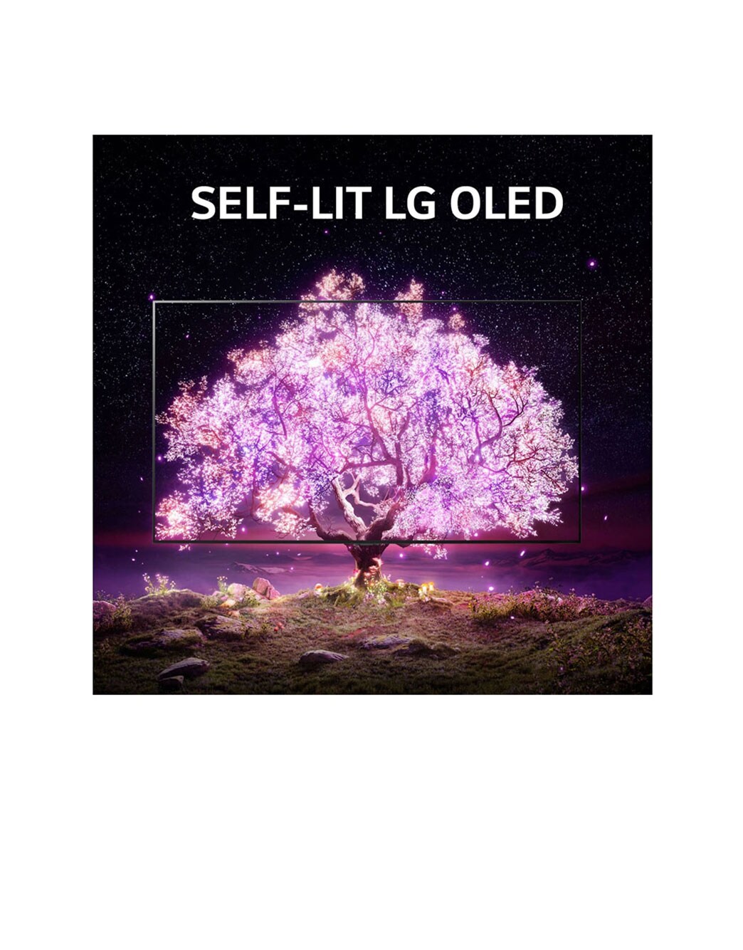 OLED48C1PVB - OLED48C1PVB | LG NZ