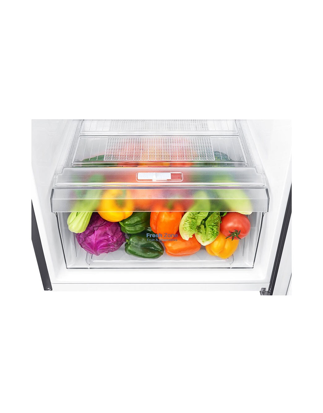 Two-Door Top Freezer Refrigerator - GR-B222SQBB | LG Philippines
