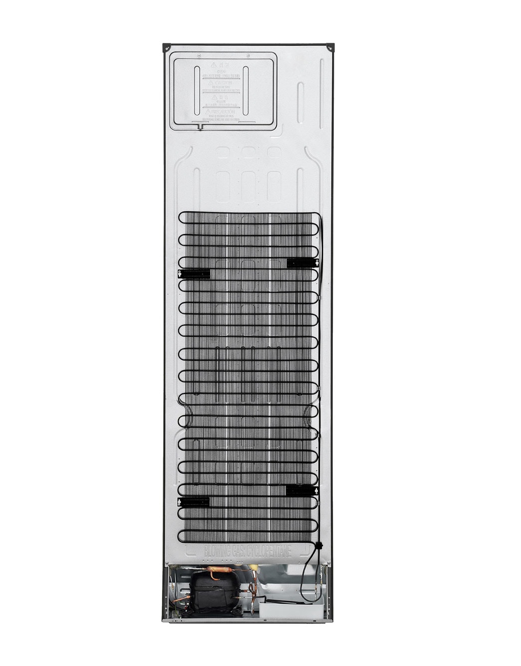 Oszczędna lodówka LG DoorCooling+™ GBV3200DEP | LG Polska
