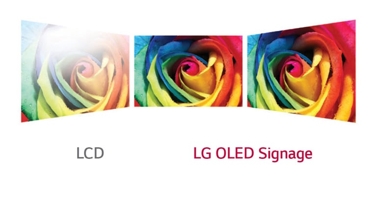 55" 100/400 nits FHD Dual-view Flat OLED - 55EH5C | LG SG