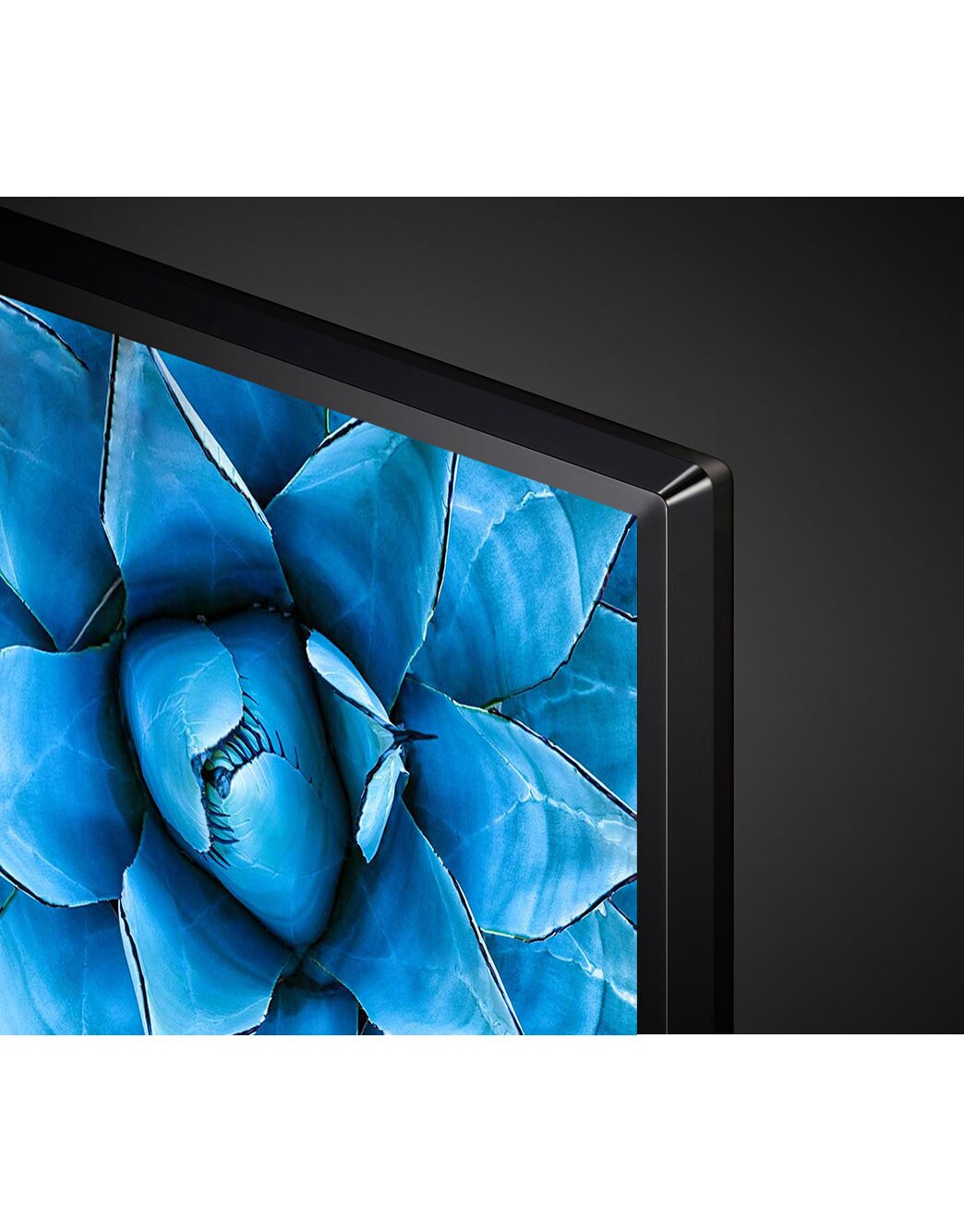 LG UN7300 49" UHD 4K TV - 49UN7300PTC | LG SG