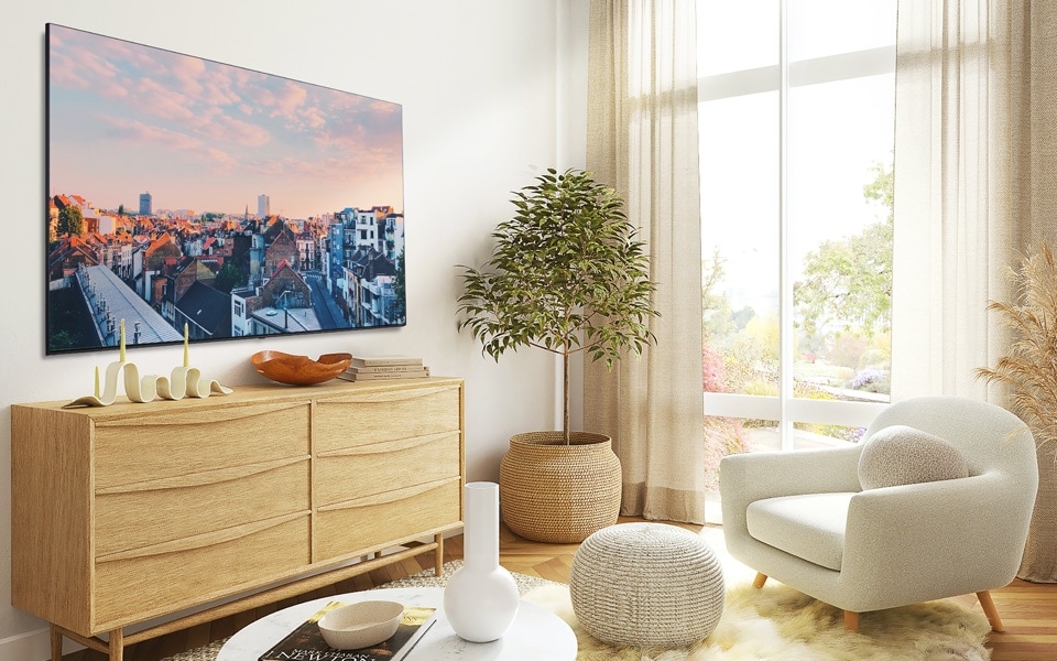 TV Buying Guide | LG SG