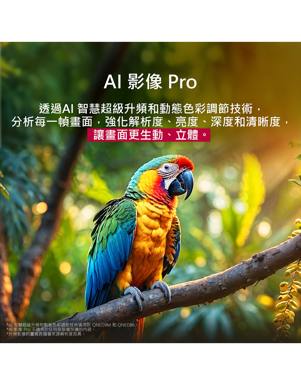 65 吋 LG QNED evo AI QNED86 MiniLED 4K 智能電視 2025 - 65QNED86ATA | LG TW