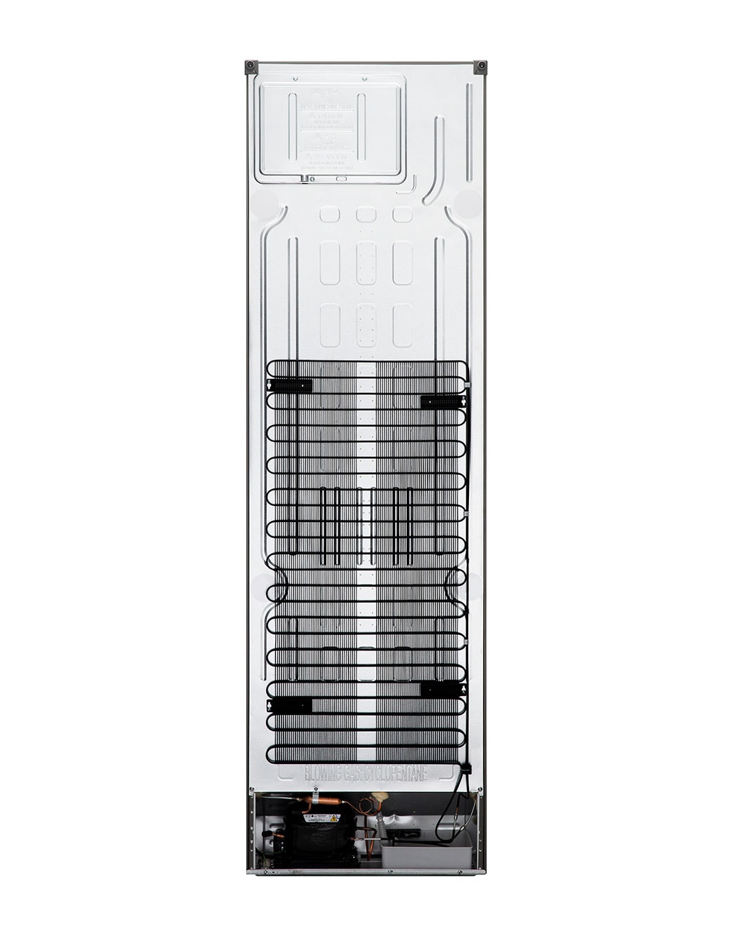 384L Tall Fridge Freezer Shiny Steel | LG UK