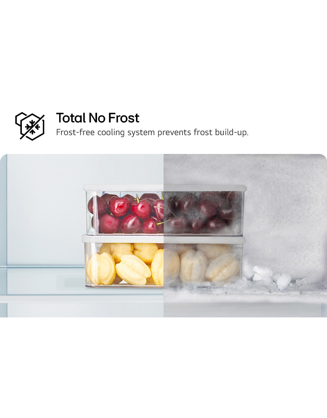 600L Multi Door Fridge Freezer Black | LG UK