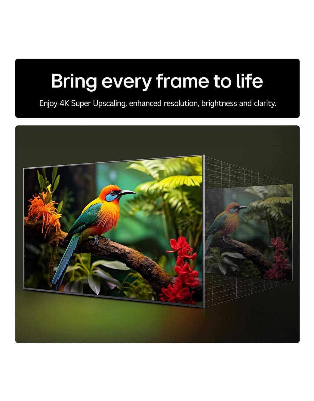 65 inch LG UHD AI UA73 4K Smart TV 2025 - 65UA73006LA | LG UK