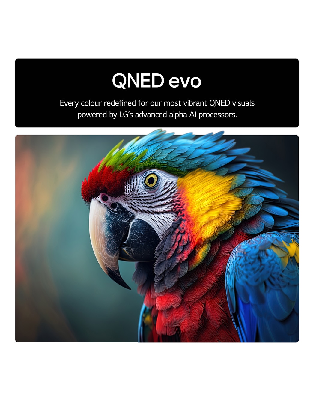 100 inch LG QNED evo AI QNED86 MiniLED 4K Smart TV 2025 - 100QNED86A6 ...