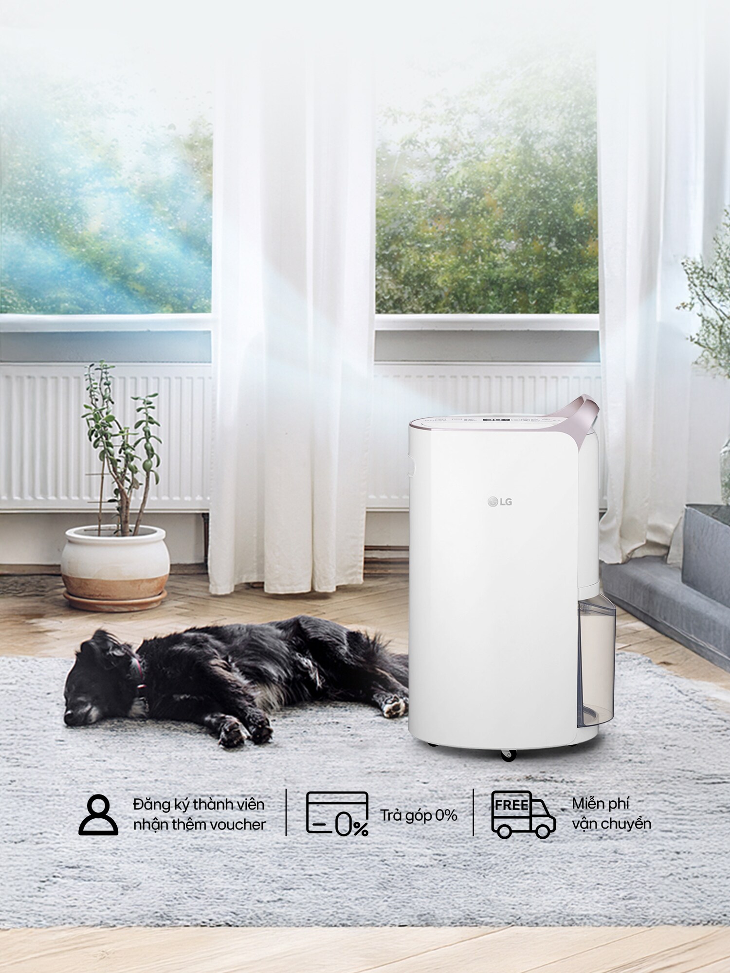Thiết bị giải trí & Điện tử gia dụng | LG VN