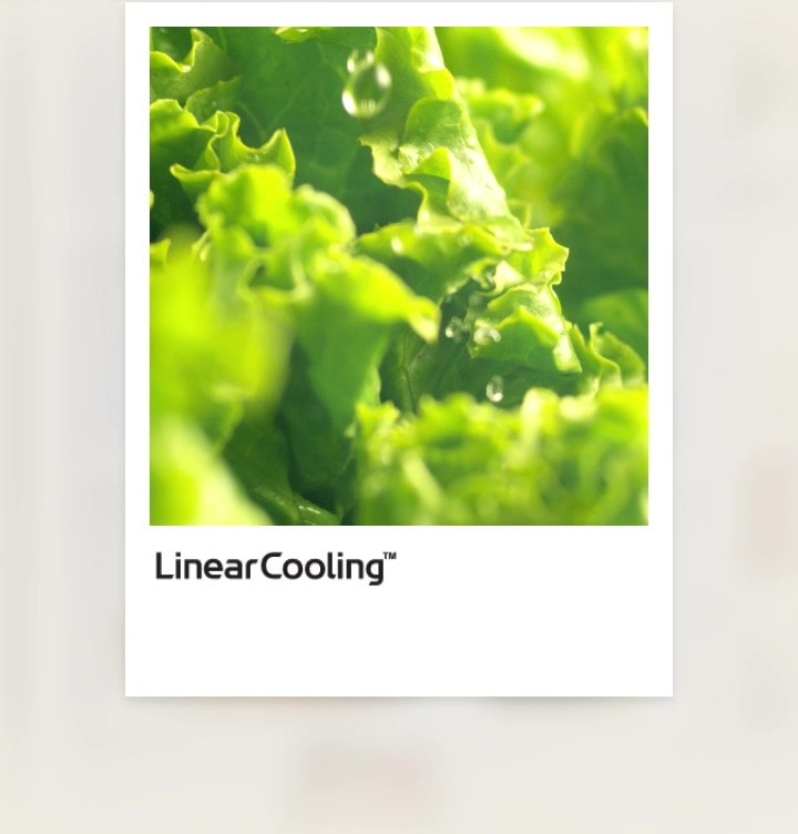 Tủ lạnh LG ngăn đá dưới màu đen 360L LBD33BLMA | LG VN