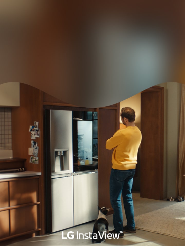 Americké lednice - dvoukřídlé chladničky | LG CZ