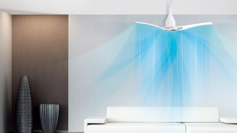 What to Look for in a Ceiling Fan | HVAC Blog | LG East Africa