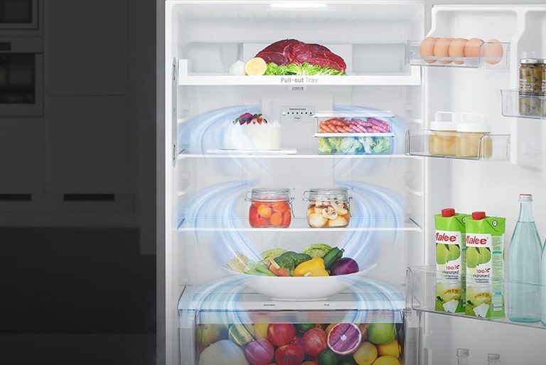 LG 234L Top Freezer Refrigerator | Multi Air Flow | LG EA