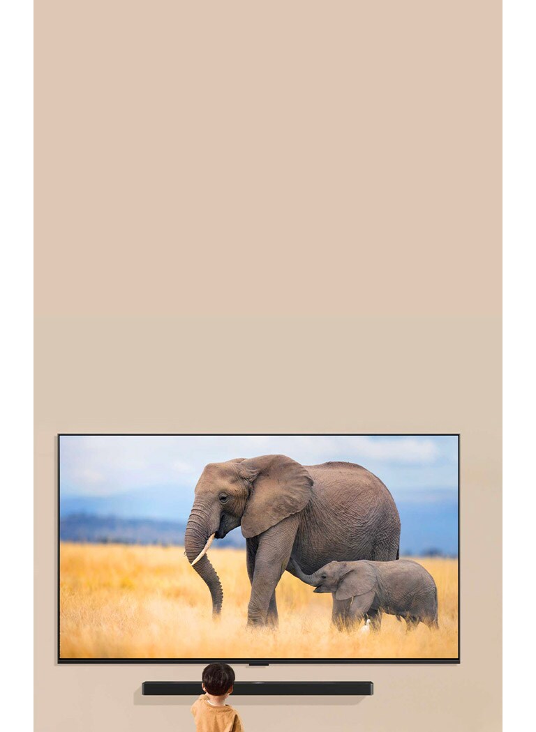 Recomendaciones de LG TV | LG Ecuador