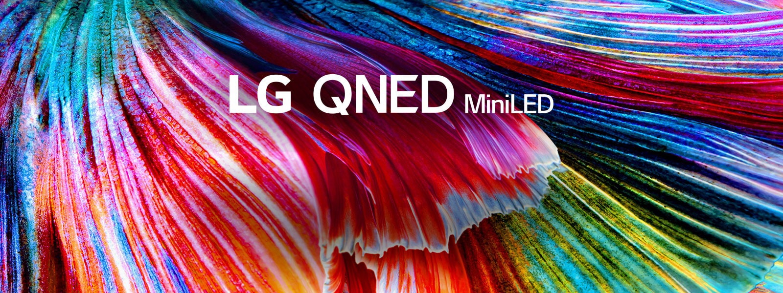 TELEVISOR QNED | Tecnología QNED | LG Ecuador