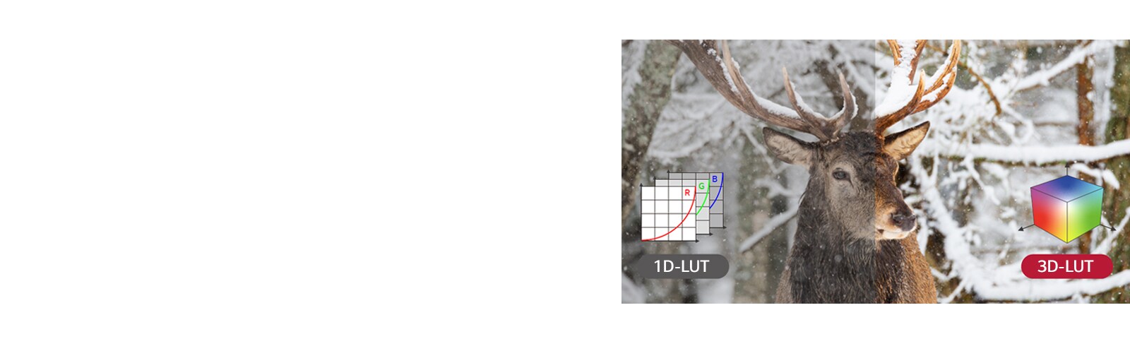 LG LBAE026: LED Display for Virtual Production | LG Global Business