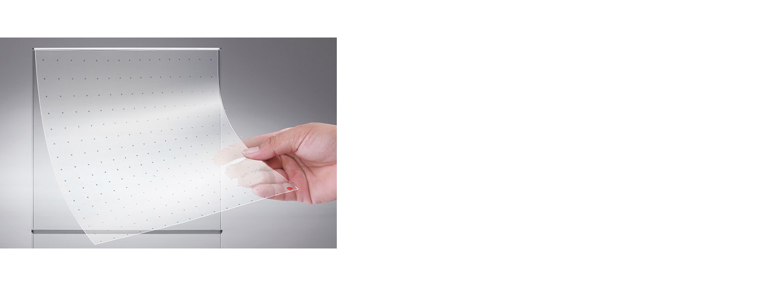 LG Color Transparent LED Film | LG GLOBAL