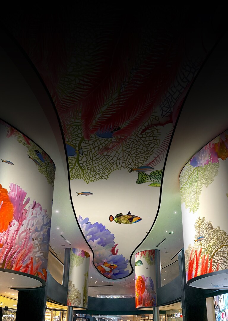 Commercial Display | Business | LG Global