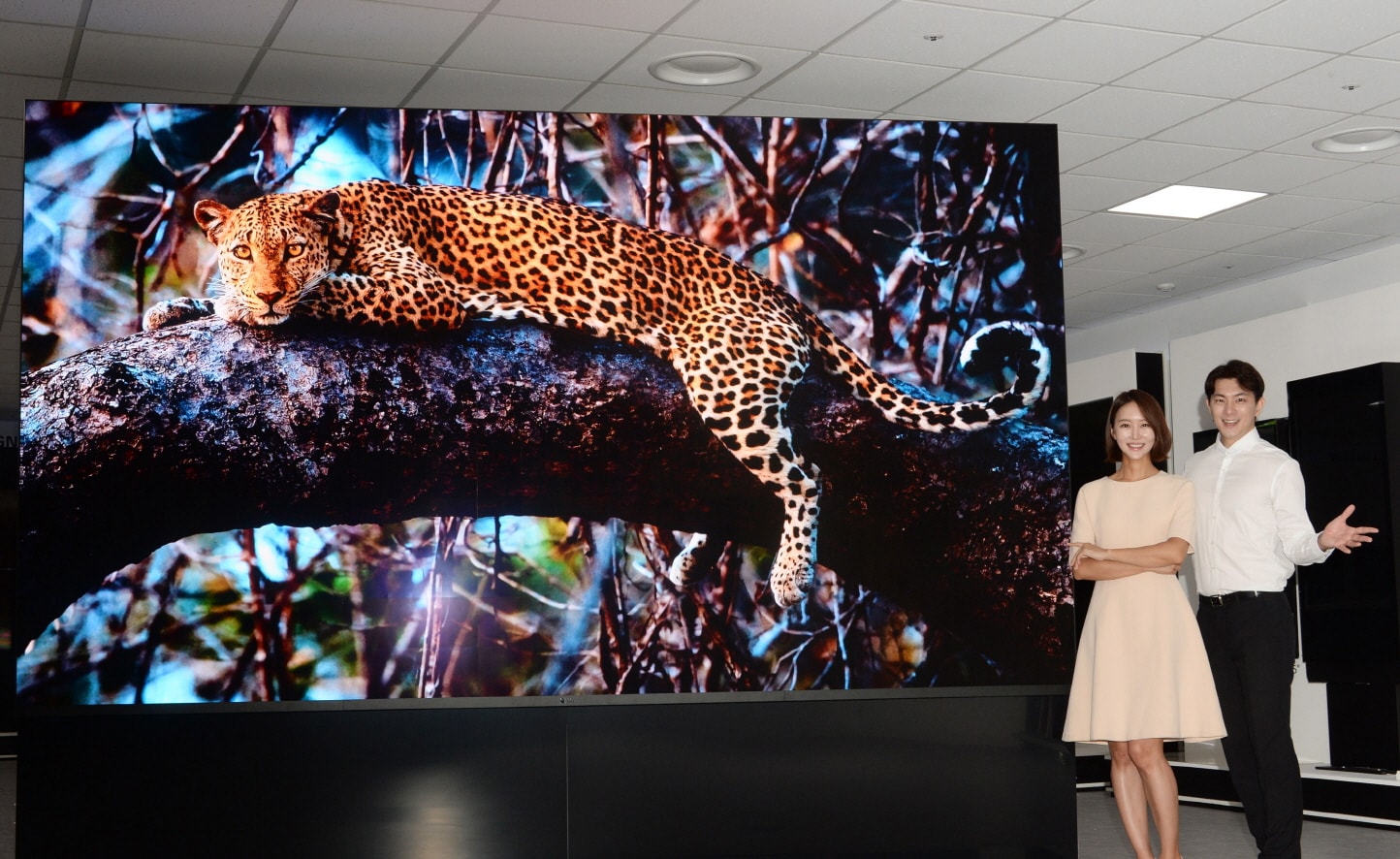 FIRST MICRO LED DISPLAY FROM LG SETS NEW STANDARD FOR COMMERCIAL ...