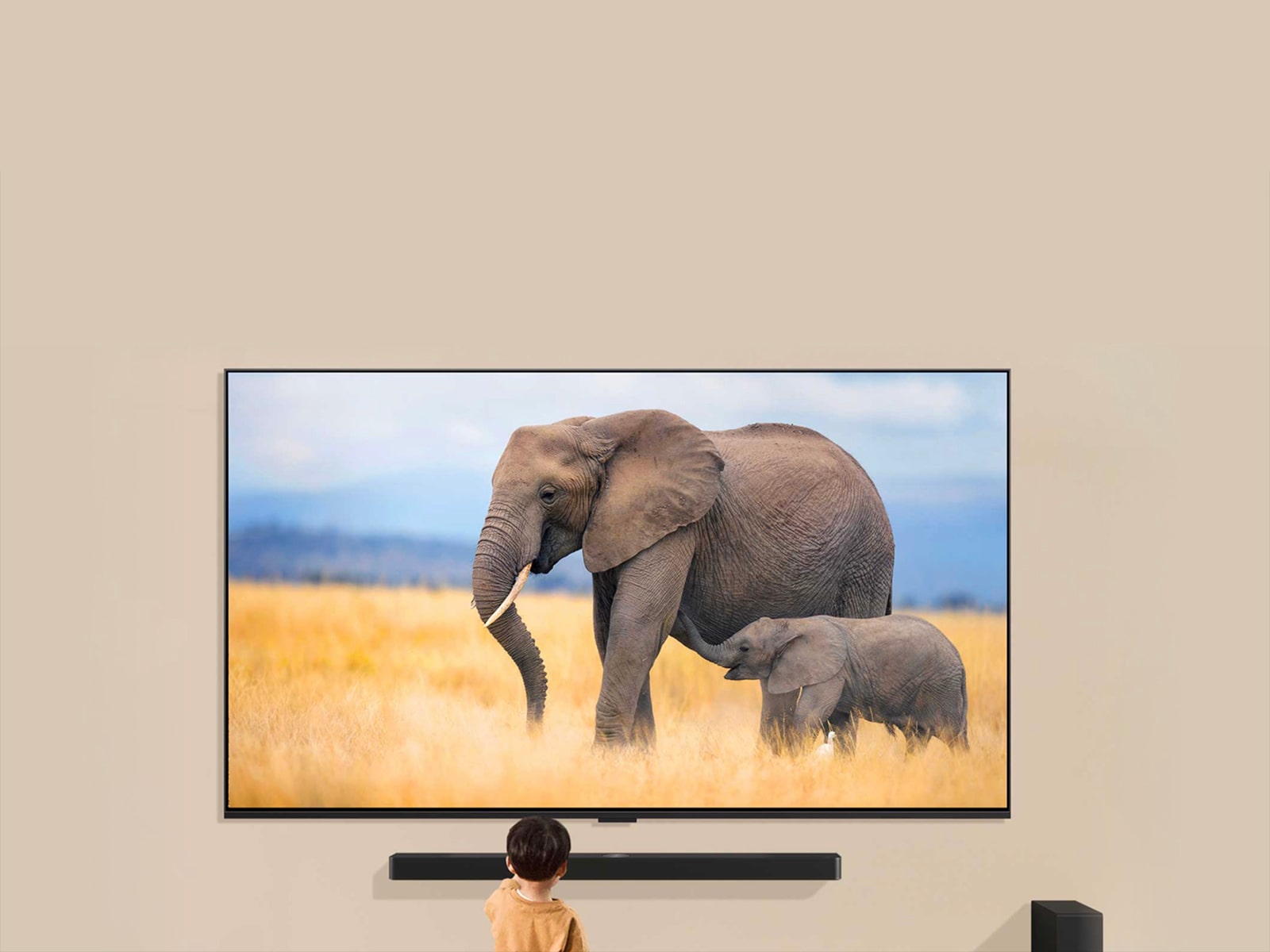 TV Buying Guide | LG Levant