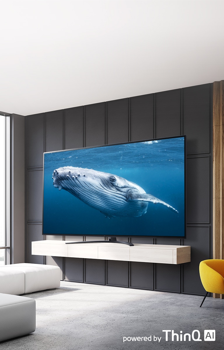 Televizori, audio i video proizvodi | LG Srbija