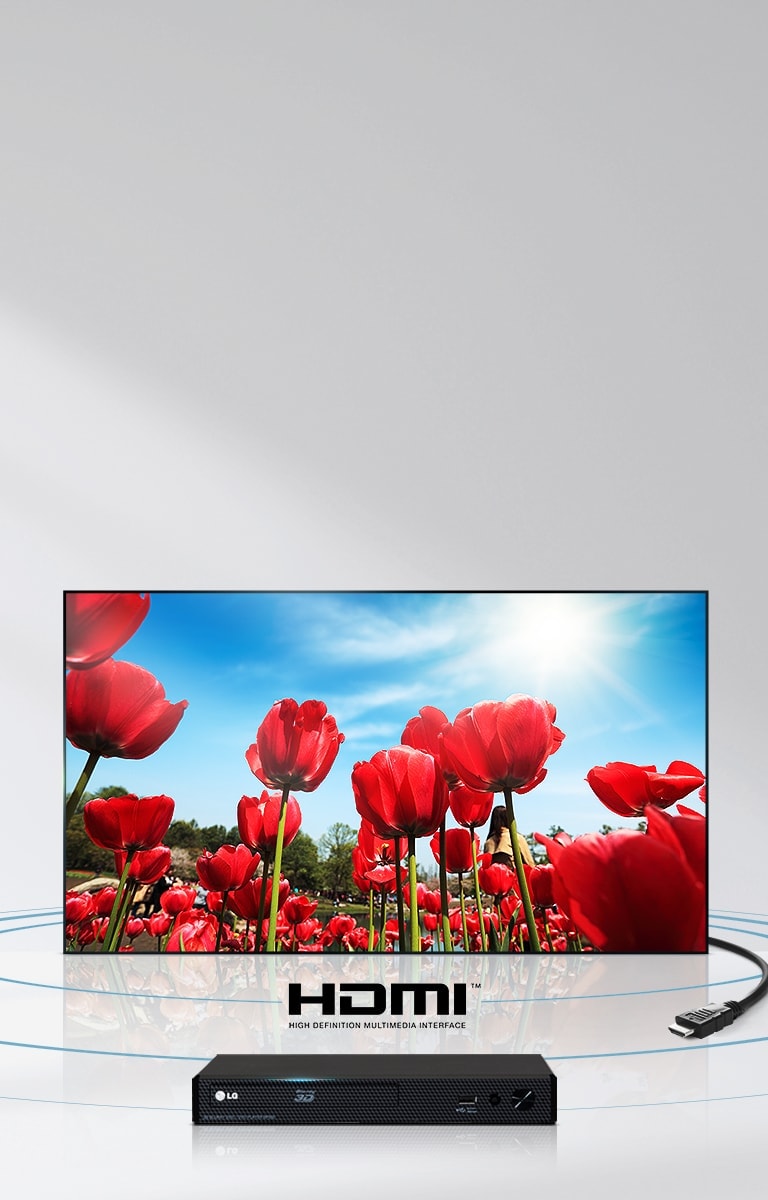 Телевизор LG 43LJ519V: характеристики, обзоры, где купить — LG Россия