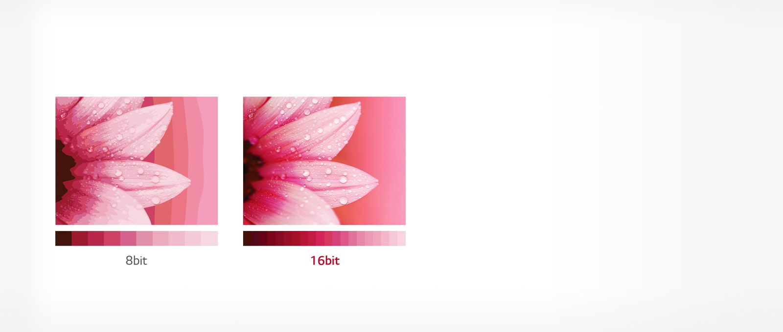 LED-панели для помещений LG: выбор и сравнение моделей | LG Россия Business