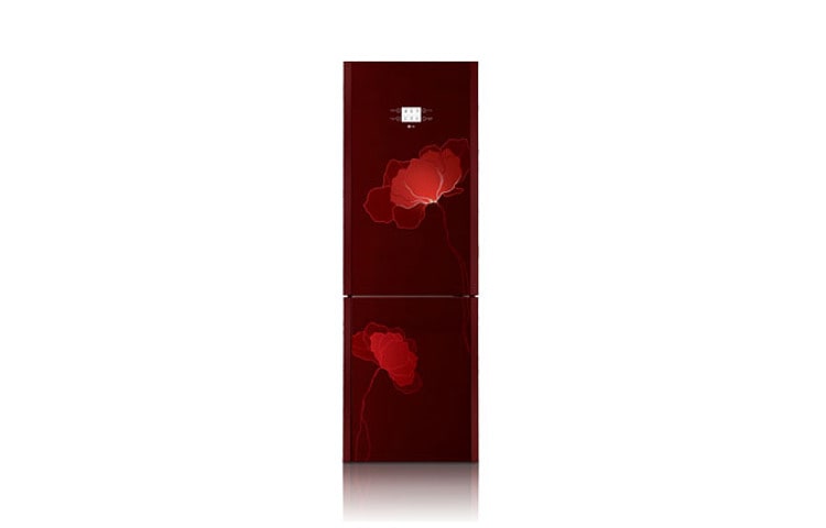 Холодильник LG GC-B419NDAW: характеристики, обзоры, где купить — LG Россия