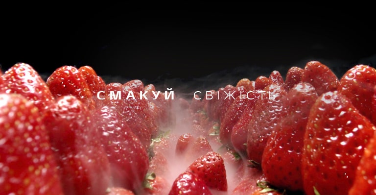 01_Taste-Mobile-1-3m