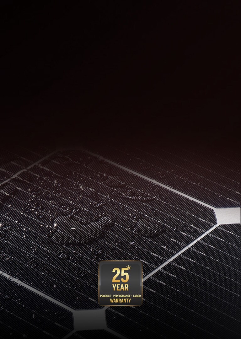 LG Solar Solutions: Commercial Solar Panels | LG USA Business