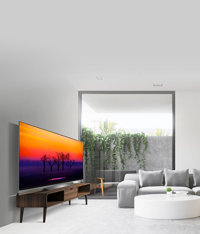 LG OLED65E8PUA: 65 Inch Class 4K HDR OLED Glass TV w/ AI ThinQ® | LG USA