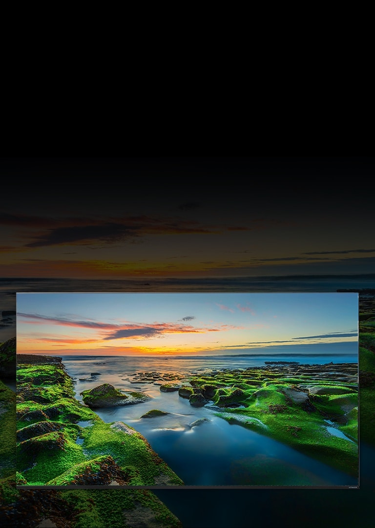 LG 8K TVs: Discover The World's First LG OLED TV 8K | LG USA