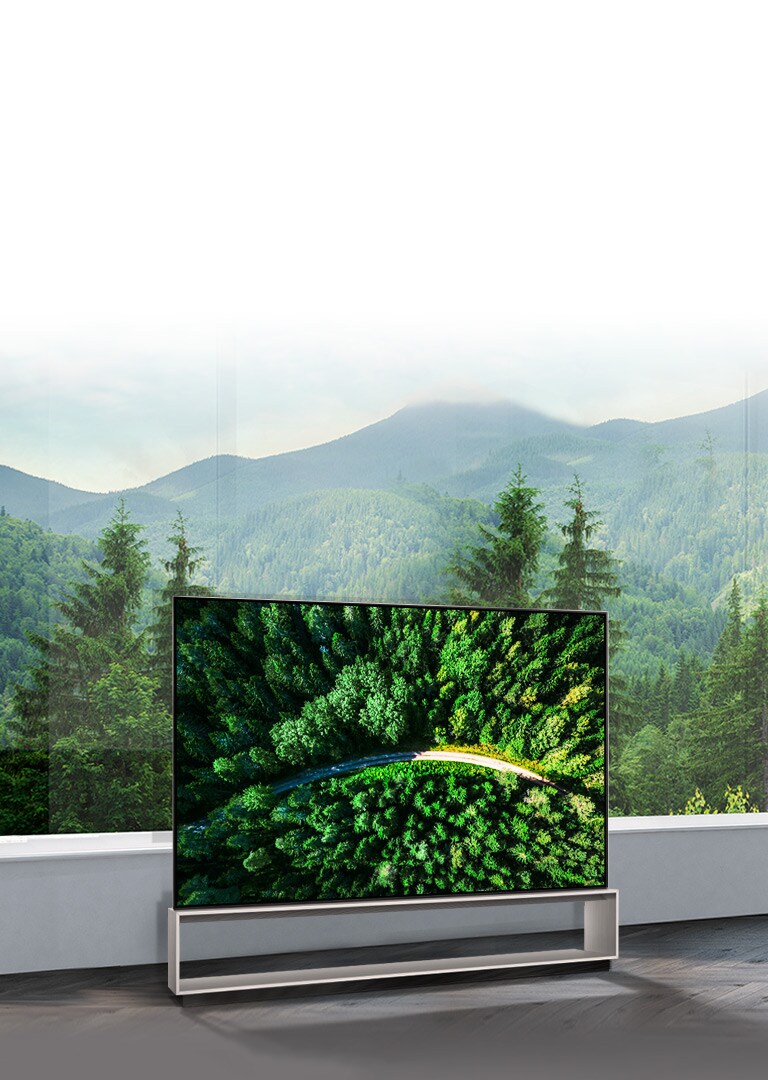 LG 8K TVs: Discover The World's First LG OLED TV 8K | LG USA