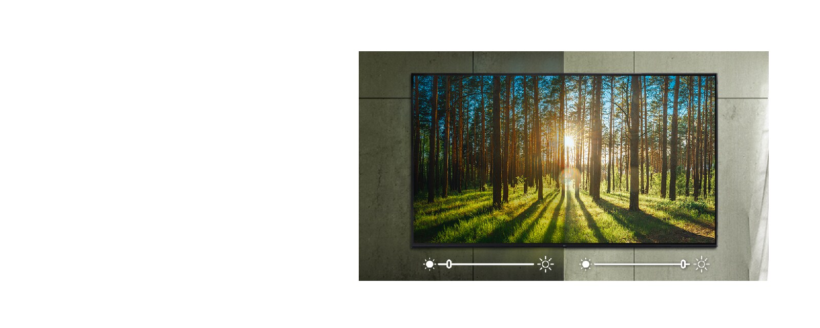 LG C2 48 Inch Class 4K OLED evo w/ ThinQ AI – LED World