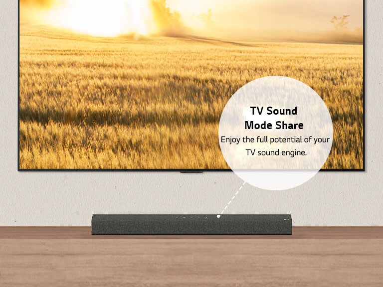 LG SPM2 2.1 Channel Sound Bar with Built-In Subwoofer (SPM2) | LG USA