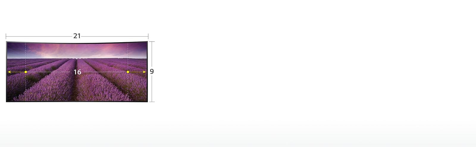 LG Curved 4K UHD Smart LED TV - 105'' Class (104.6'' Diag) (105UC9 ...