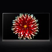 LG OLED65G7P: 65-inch LG SIGNATURE OLED 4K HDR Smart TV | LG USA