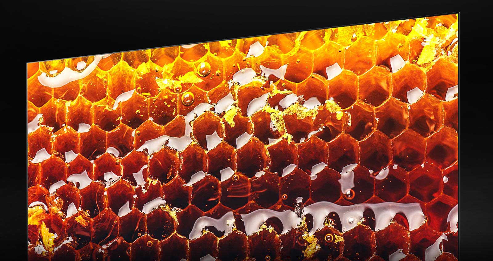 LG OLED88Z9PUA: Z9 88 Inch OLED 8K HDR TV at CES 2019 | LG USA