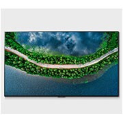 LG OLED55GXPUA : GX 55 inch Class with Gallery Design 4K Smart OLED TV ...