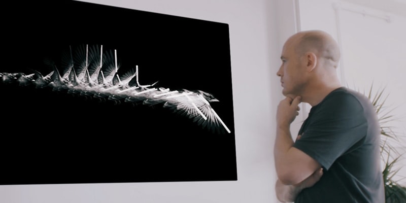 LG SIGNATURE - Visual Artist Matt Clark | LG USA