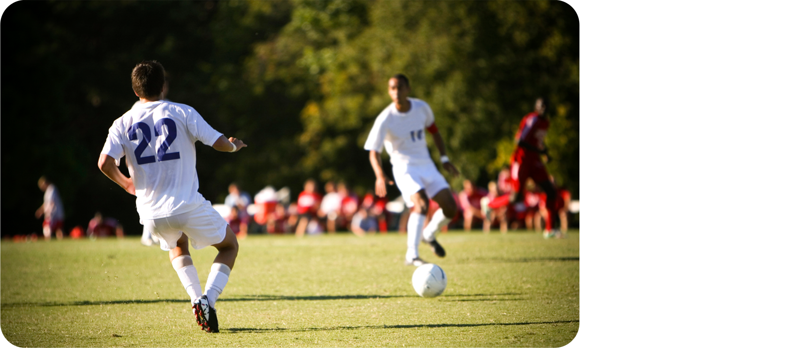 LG x NCAA Partnership | LG USA